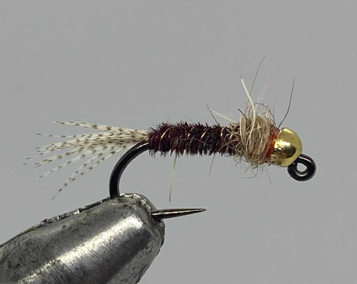 Tungsten Beadhead Jig Frenchie - Orange – Strike Fly