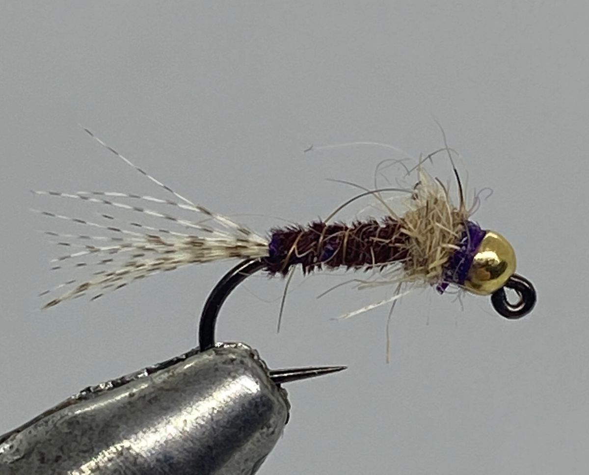 Tungsten Beadhead Jig Frenchie Purple - Nymph – Strike Fly