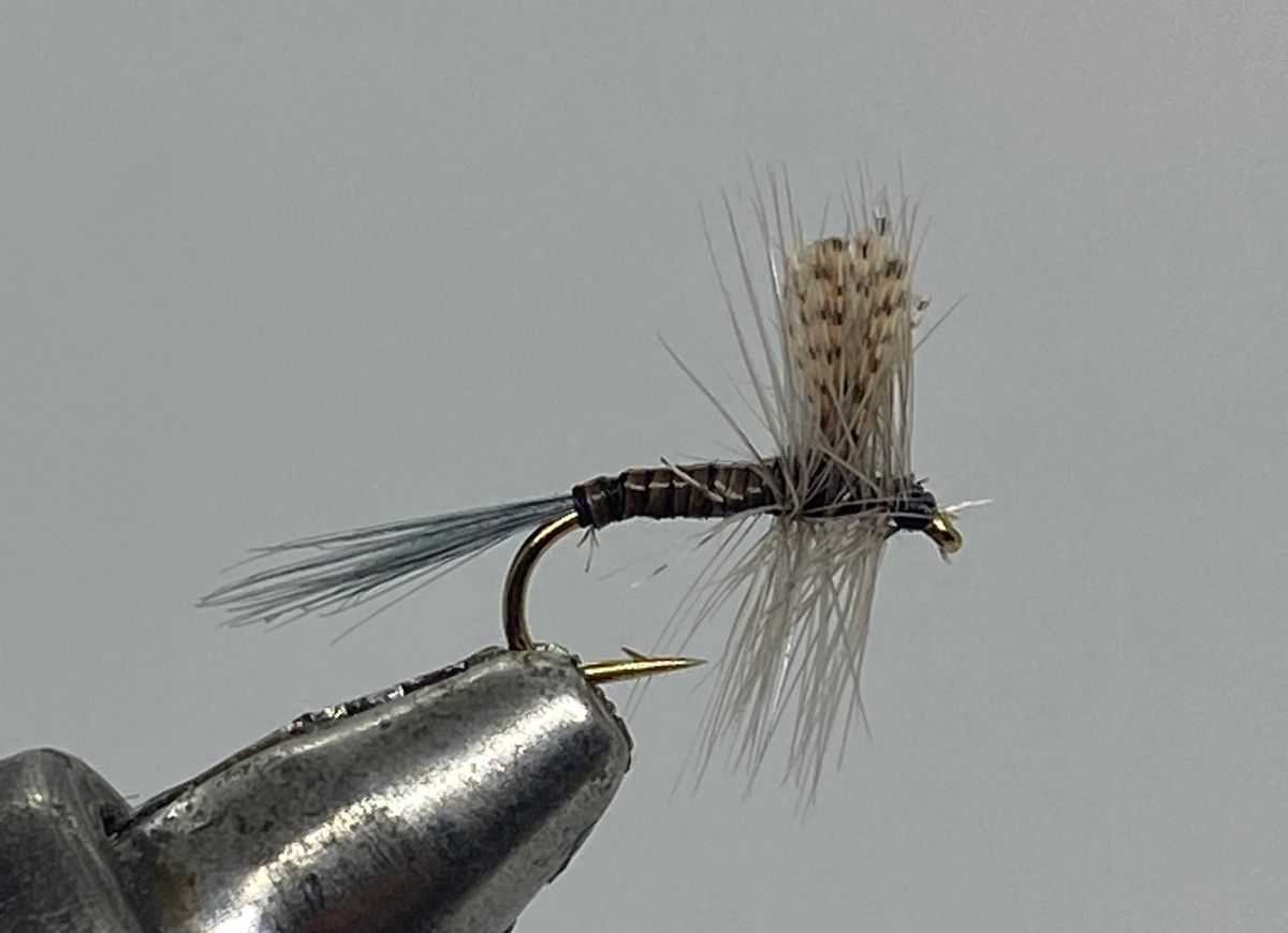 One Dozen (12) - Blue Quill Dun - Dry Fly – Strike Fly