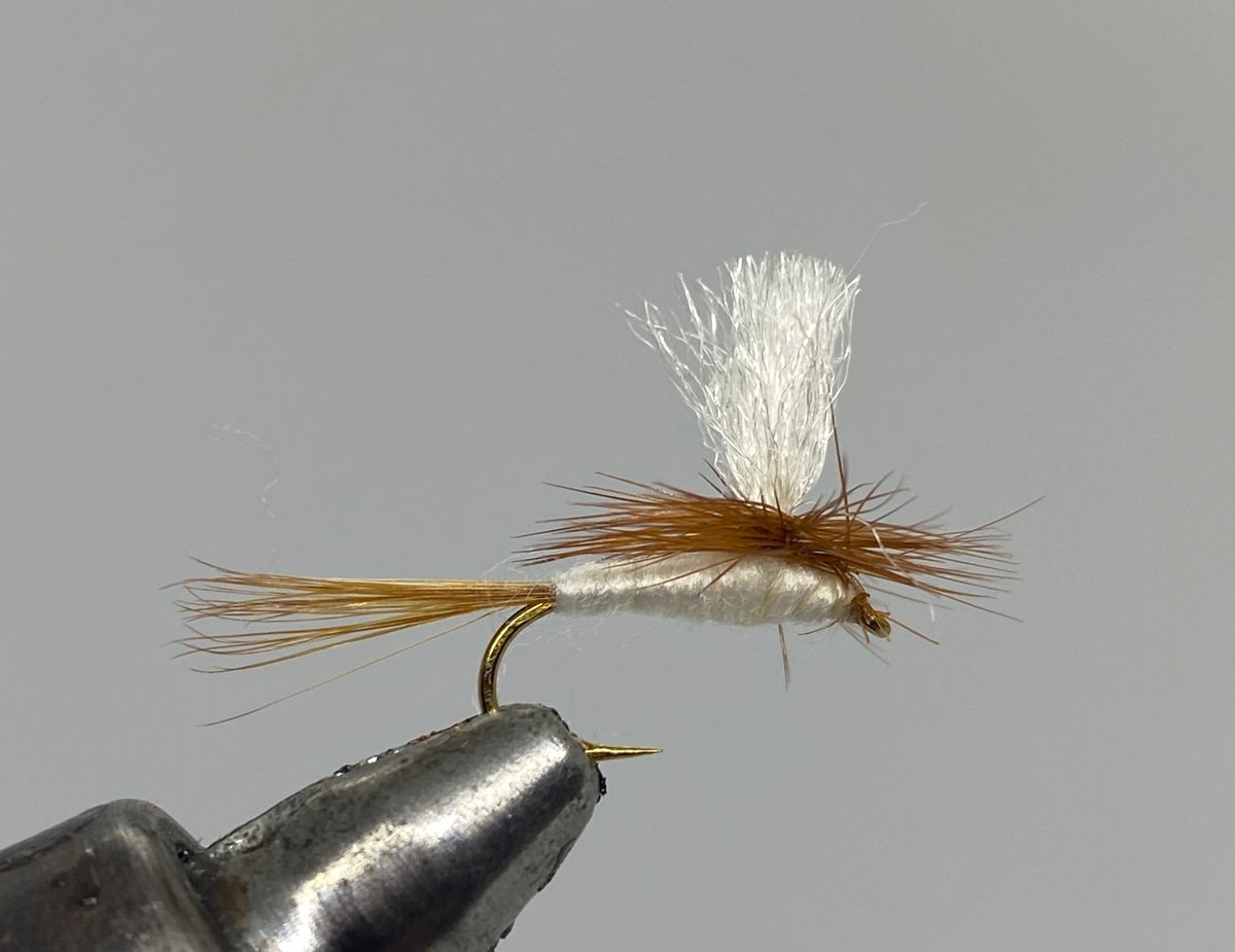 One Dozen (12) - Parachute Grey Fox - Dry Fly – Strike Fly