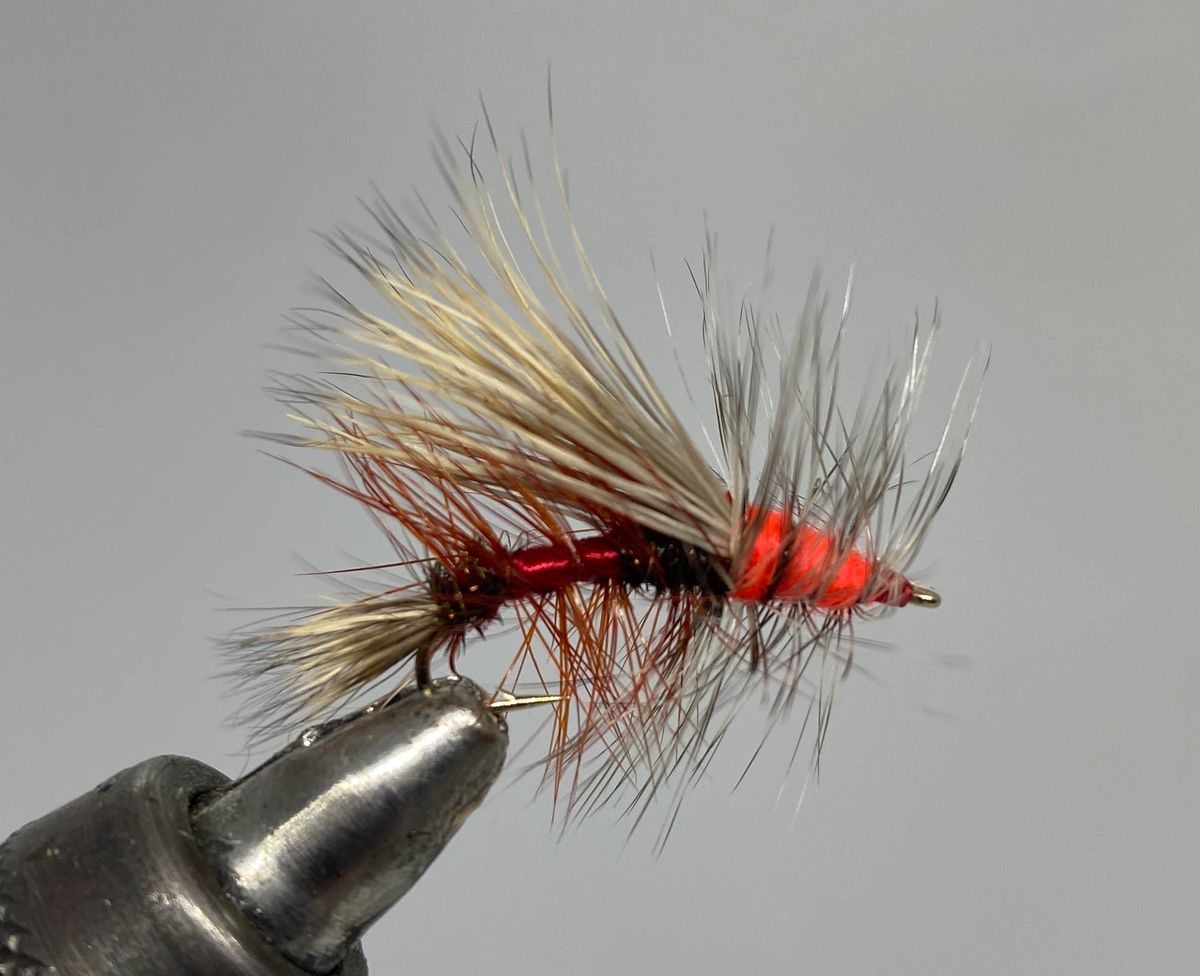One Dozen (12) Stimulator Royal, Dry Fly- Strike Fly Company