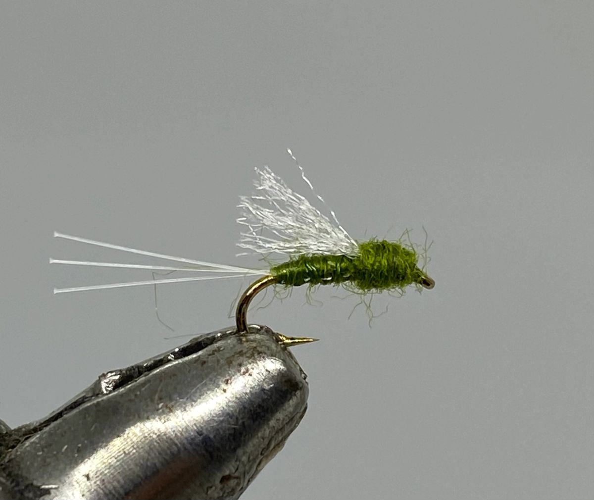 One Dozen (12) - Rs2 - Olive - Dry Fly – Strike Fly