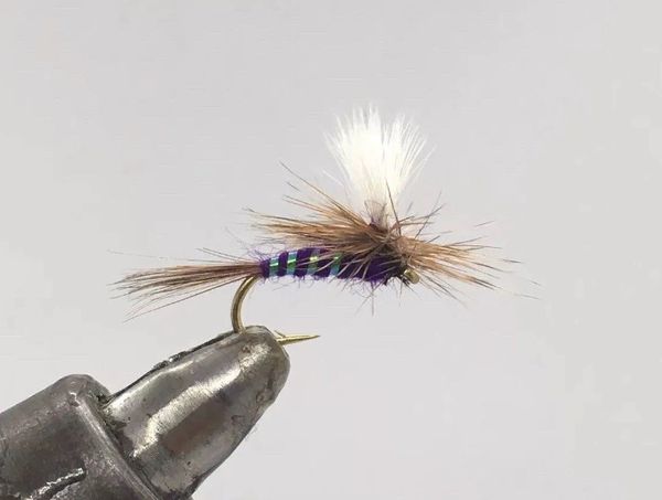 One Dozen (12) - Compara Wulff - Purple - Dry Fly – Strike Fly