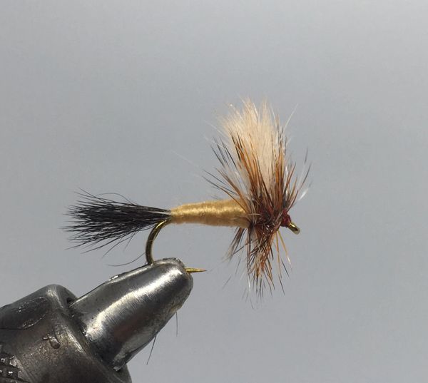 One Dozen (12) - Ausable Wulff - Dry Fly – Strike Fly