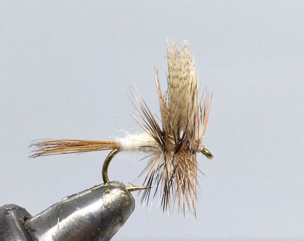 One Dozen (12) Grey Fox Dun Dry Fly- Strike Fly Company