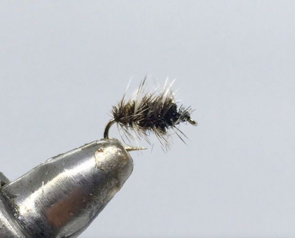 One Dozen (12) - Griffiths Gnat - Dry Fly – Strike Fly