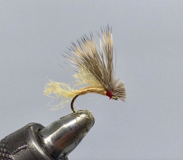 One Dozen (12) - Rinker's CDC Wonderbug - Dry Fly – Strike Fly